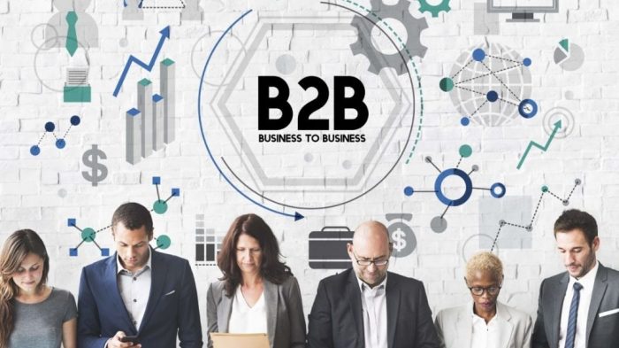B2B Nedir? B2B İş Modeli Nasıl Uygulanır? - Tuli Dijital